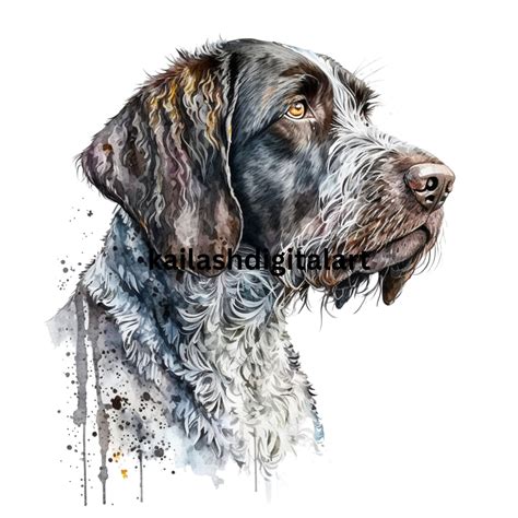 German Wirehaired Pointer Clipart High Quality Jpgs Digital Paper Crafting Digital Planner
