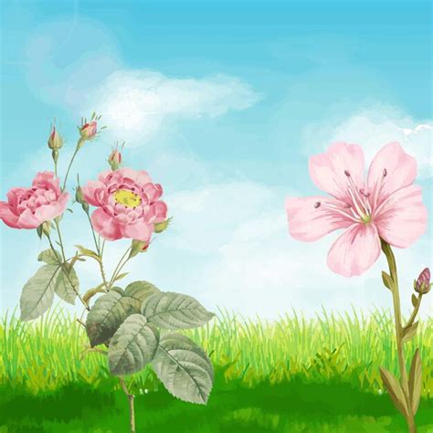Vector Natural Cielo Flores Y Hierba Vector Premium