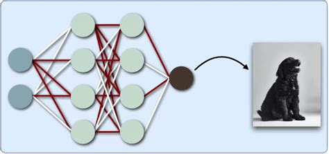 scale equivariant graph metanetworks