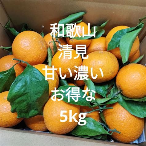 和歌山 清見オレンジ 甘い 5kg メルカリ