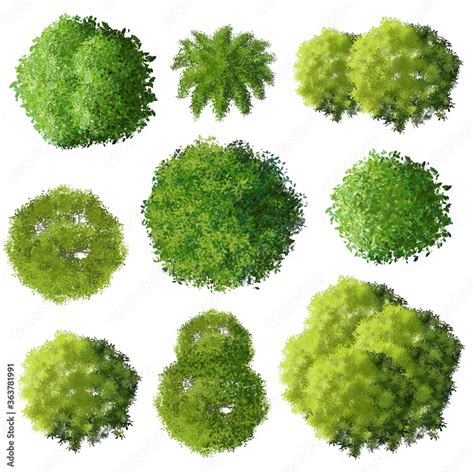 Set Of Tree Top View For Landscape Plan And Architecture Element Stock