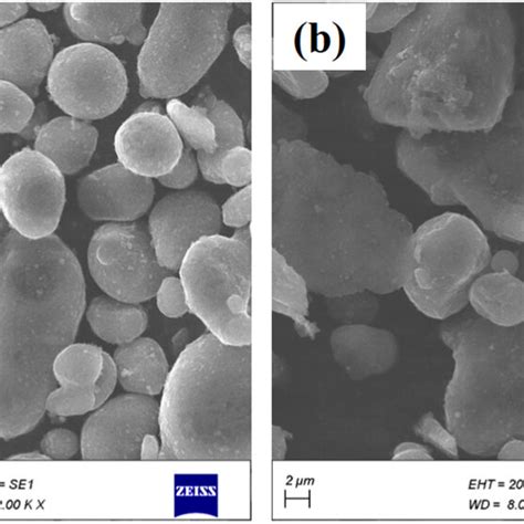 Microscopic Characterization Of Mixing Process A Sem Image Of Nano Download Scientific