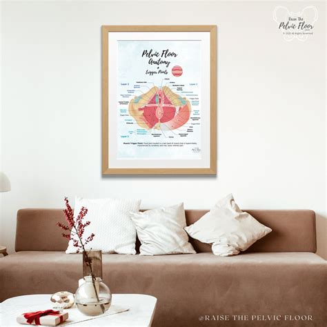 Trigger Points In Pelvic Floor Anatomy Poster Art Raise The Pelvic