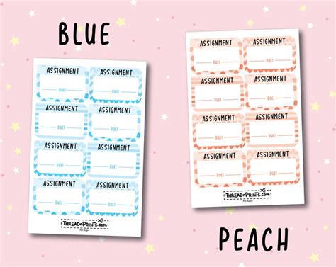 Assignment Assignment Box Sticker Homework College Student Etsy