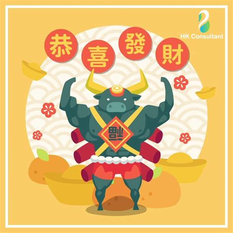 Hk Consultant Limited 鵠君顧問有限公司 政府資助 Bud顧問 Tvp顧問 Home Facebook