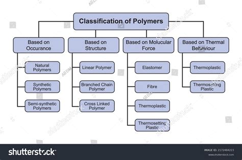 Classification Polymers Polymers Types Vector Illustration Stock Vector Royalty Free