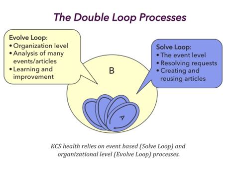 The Double Loop Process Consortium For Service Innovation