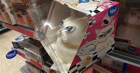 Its A Grumpy Cat Cake Cake Makes Me Happy Im So Conflicted Right