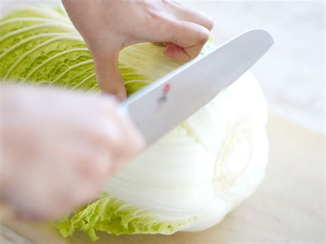 白菜は洗う？洗わない？簡単な洗い方をカット別に紹介 Fily〔フィリー〕