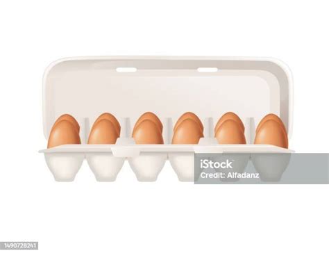 하얀 배경에 벡터 삽화를 포장하는 골판지 상자에 담긴 닭고기 달걀 0명에 대한 스톡 벡터 아트 및 기타 이미지 0명 가금류