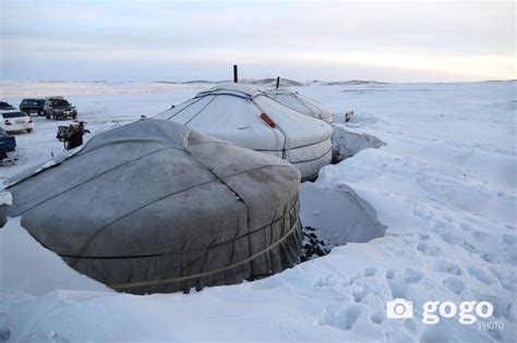 Улсын хэмжээнд 12 аймгийн 30 суманд цагаан зудтай байна