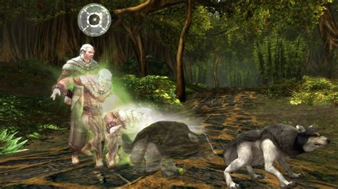 Druid Class Revealed For Dungeons And Dragons Online Pc Gamer