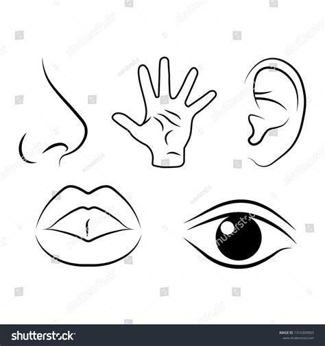 Human Senses Icon Vector Illustration Flat Stock Vector Royalty Free