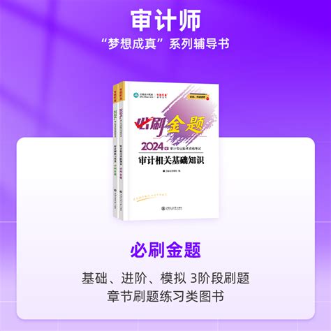 首页 审计师 2024年审计师《审计相关基础知识》必刷金题