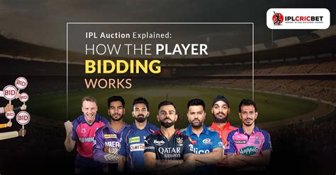 Ipl Auction Explained How The Player Bidding Works Iplcricbet