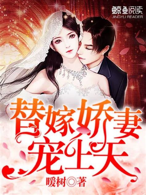 替嫁娇妻，宠上天百度百科