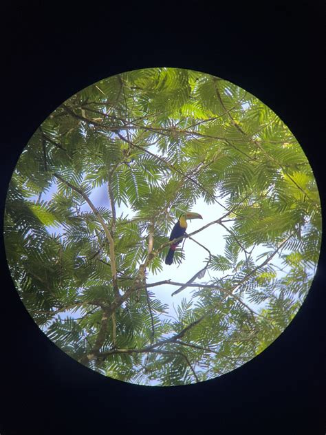 Isabelle Monroe Isabellegmonroe Twitter