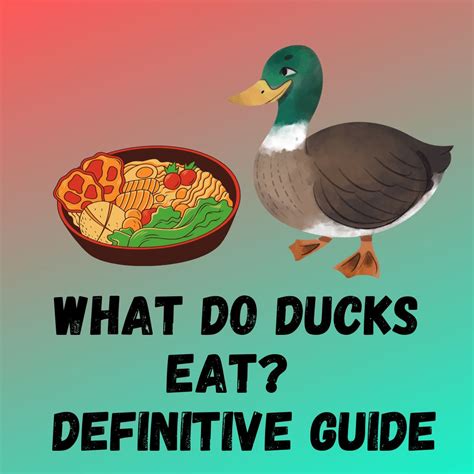 What Do Ducks Eat The Definitive Guide