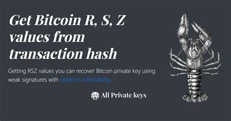 Get Bitcoin R S Z Values From Transaction Hash