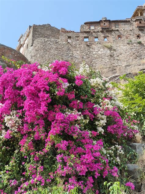 Oppo Find N Flip Review Clamshell With Great Cameras Gizmochina