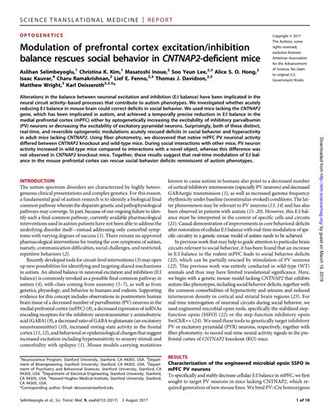 Pdf Modulation Of Prefrontal Cortex Excitationinhibition Balance Rescues Social Behavior In