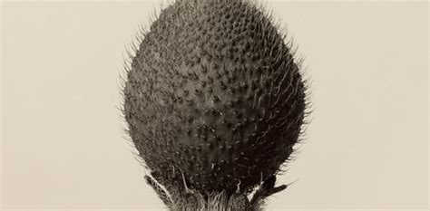 מגזין קוֹץ הפודקאסט פייק בצלאל אקדמיה לאמנות ועיצוב ירושלים