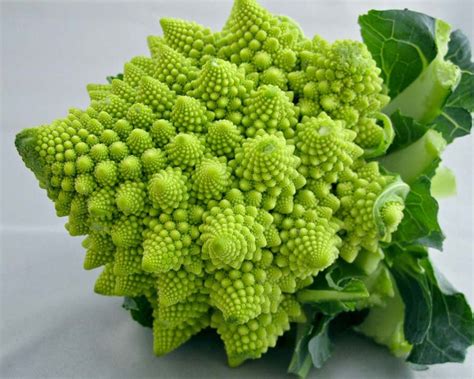 Organic Romanesco Broccoli Seeds Spiral Pyramid Variety Etsy