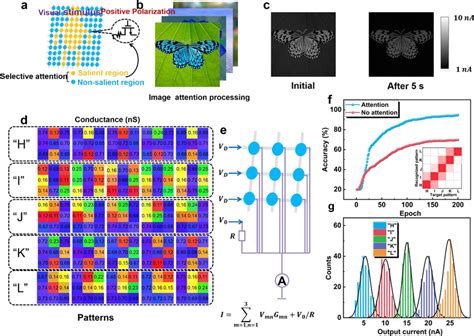 image attention processing and pattern classification a schematic