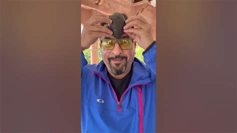 Things To Do With Avacados … Youtube