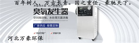 河北万豪环保臭氧发生器杀菌臭氧投加方式计算 哔哩哔哩