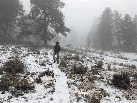 Nuevo León Se Registra Primera Nevada En El Cerro Del Potosí Grupo