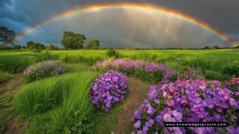 33 Similes For Amazing A World Of Wonderful Comparisons