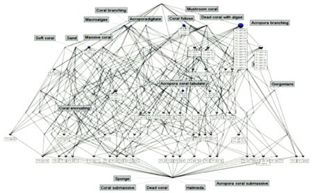 Concept Lattice Diagram Of Station 2 Download Scientific Diagram