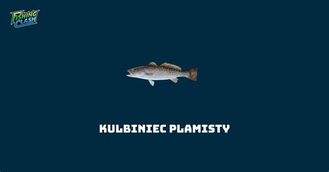 Spotted Weakfish Fishing Clash