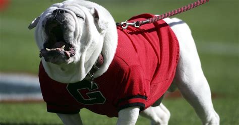 A Big 72 Hours Upcoming For Georgia Recruiting