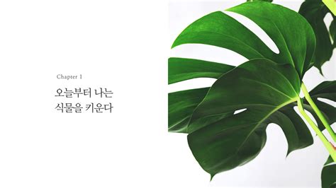 7 식물 Ppt 템플릿 Designtool