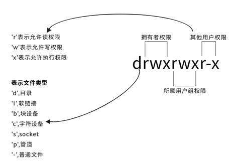 Linux基础知识 文件目录结构及基本属性