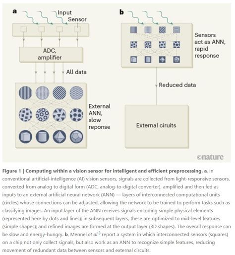 Ai In Image Sensor Spectrum Vs Nature F4news Ai In Image Sensor Spectrum Vs Nature F4news