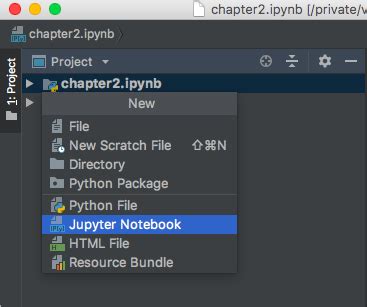Pycharm Community Jupyter Notebook Integration Holistictews