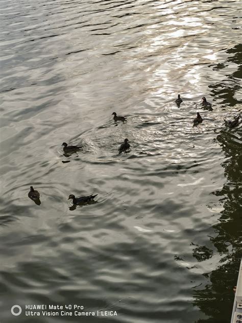 解析python中获取当前线程名字的方法及多线程编程实践获取当前线程的名字 Csdn博客