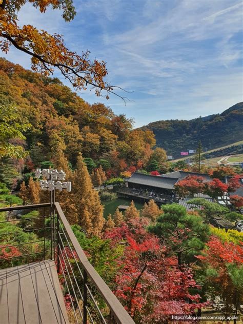 경기 광주 곤지암 화담숲 가을 단풍 절정시기 리뷰 네이버 블로그