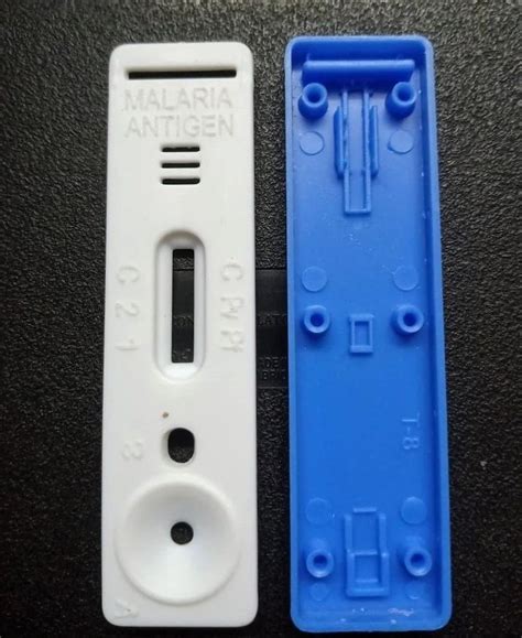 Pc 52 3 X 60 Mm Two Hole Cassettefor Lateral Flow Test Kit At Best