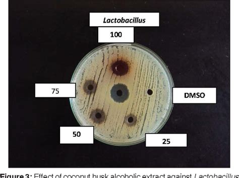 Figure 1 From Antimicrobial Properties Of Cocos Nucifera Coconut Husk