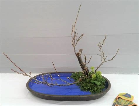 写景盛花様式本位 梅 ごくらく鳥花Ⅱ