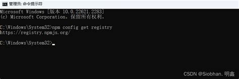 Vue Nodejs Cnpm Csdn