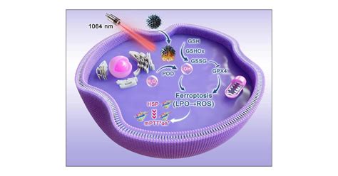 Low Temperature Photothermal Therapy Platform Based On Pd Nanozyme Modified Hydrogenated Tio2