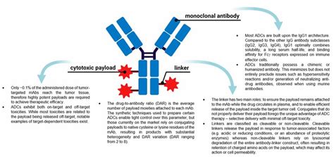 Current Adc Linker Chemistry Peg Maleimide Peptide Smcc And More