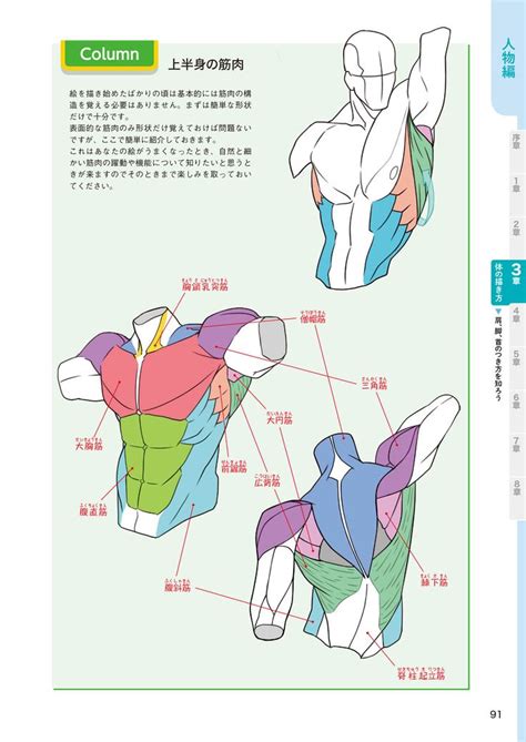 お勉強させていただきます에 있는 subaru 님의 핀 해부학 그림 해부학 예술 드로잉 강좌