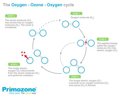 Ozone Cycle Ozone Cycle