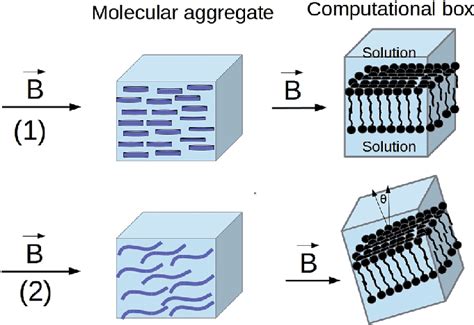 Orientation Of The Aggregate With Respect To The Magnetic Field